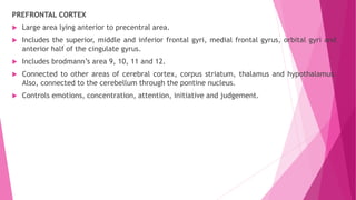 Anatomy and physiology of brain | PPTX