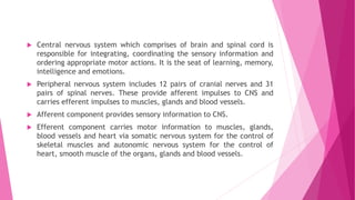 Anatomy and physiology of brain | PPTX