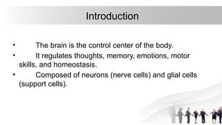 anatomy and physiology of brain and its parts | PPTX