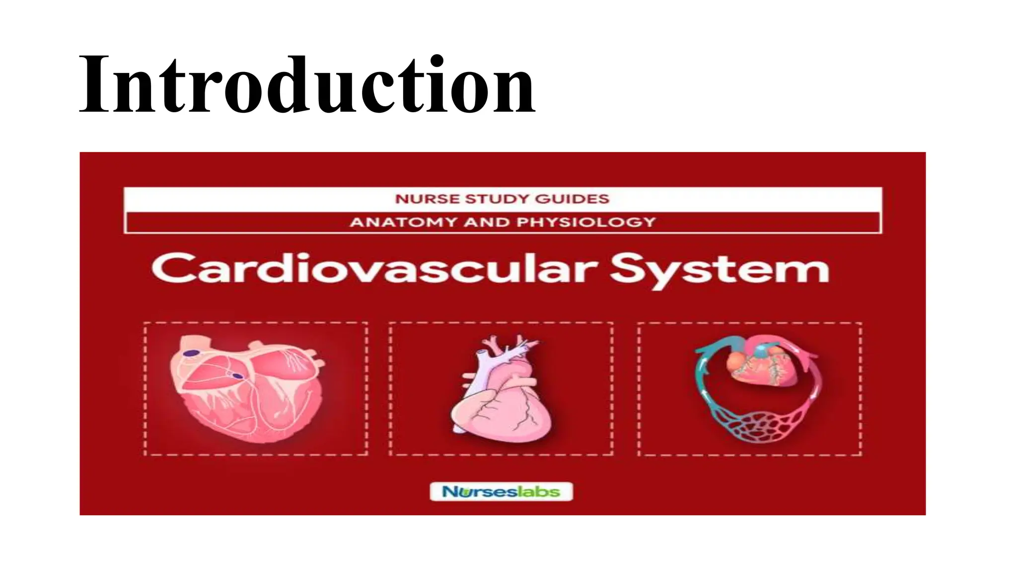 anatomy and physiology of cardiovascular 1 (1).pptx