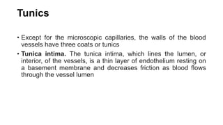 anatomy and physiology of cardiovascular 1 (1).pptx