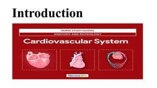 anatomy and physiology of cardiovascular 1 (1).pptx