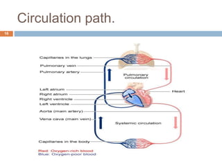 Anatomy and physiology of cardiovascular system | PPTX