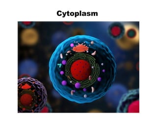 Cell: The Code of Life (Exploring Anatomy and Physiology of Cell) | PPTX