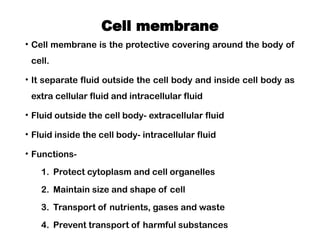 Cell: The Code of Life (Exploring Anatomy and Physiology of Cell) | PPTX