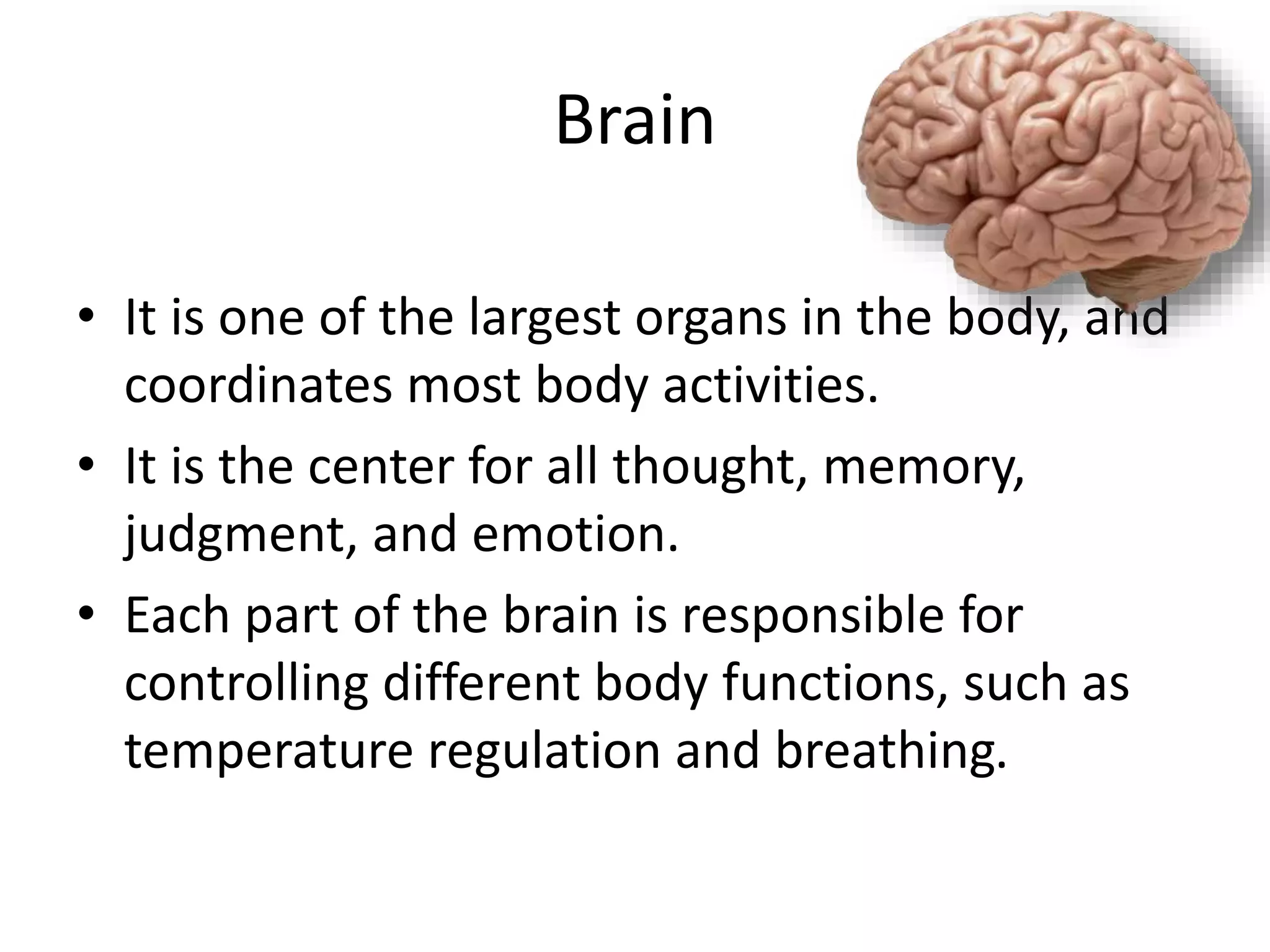 Anatomy and physiology of central nervous system | PPTX
