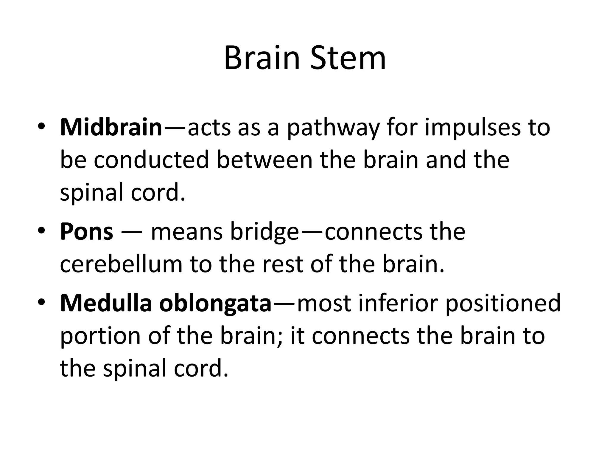 Anatomy and physiology of central nervous system | PPTX