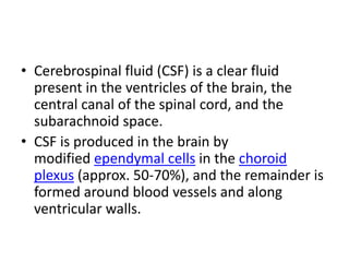 Anatomy and physiology of central nervous system | PPTX