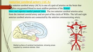 Anatomy and physiology of cerebral circulation and csf | PPTX