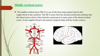 Anatomy and physiology of cerebral circulation and csf | PPTX