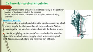 Anatomy and physiology of cerebral circulation and csf | PPTX