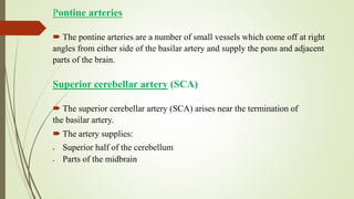 Anatomy and physiology of cerebral circulation and csf | PPTX