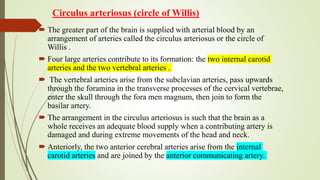 Anatomy and physiology of cerebral circulation and csf | PPTX