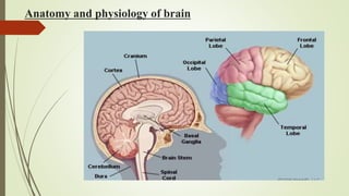 Anatomy and physiology of cerebral circulation and csf | PPTX