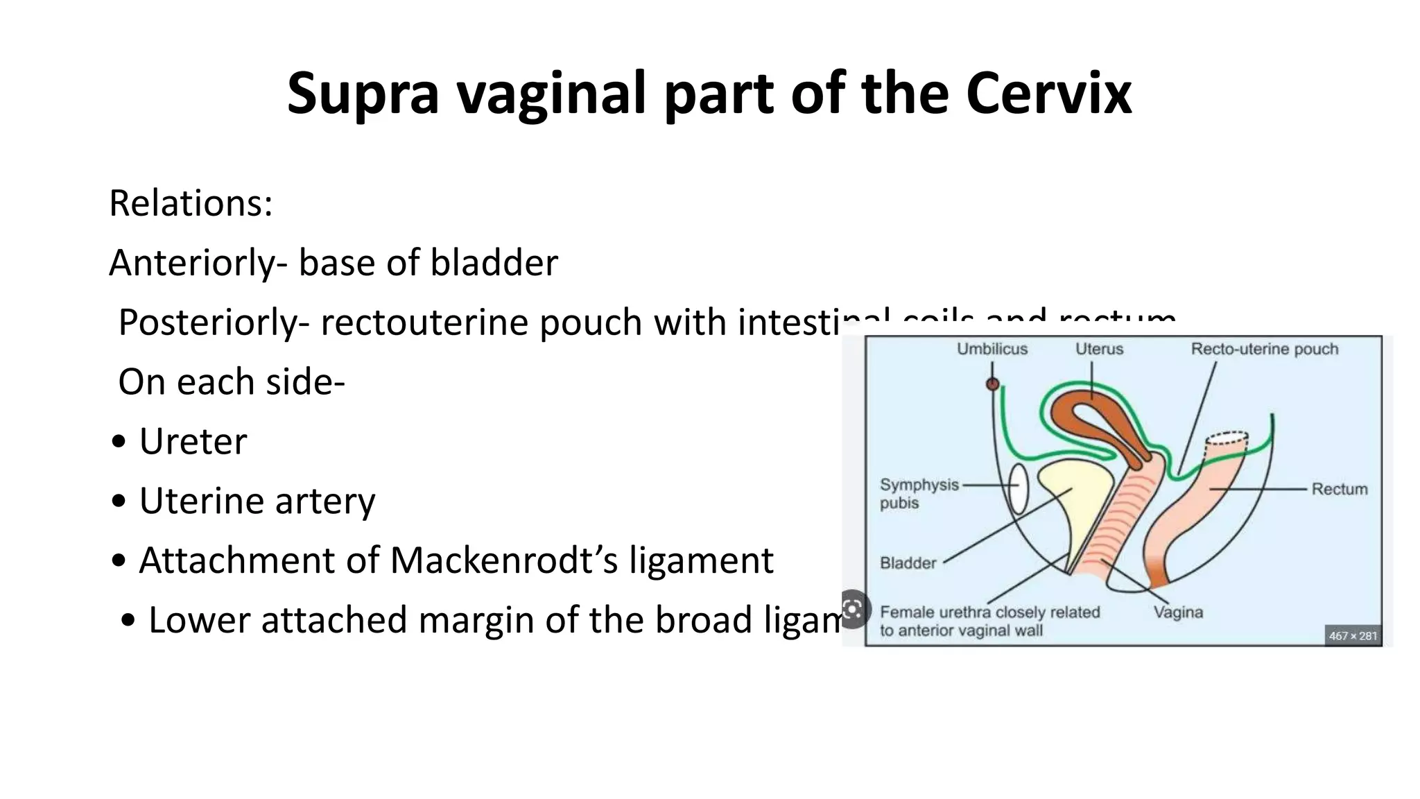 Anatomy and Physiology of cervix.pptx