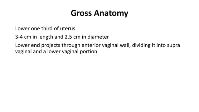 Anatomy and Physiology of cervix.pptx