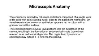 Anatomy and Physiology of cervix.pptx