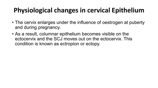 Anatomy And Physiology Of Cervix Pptx