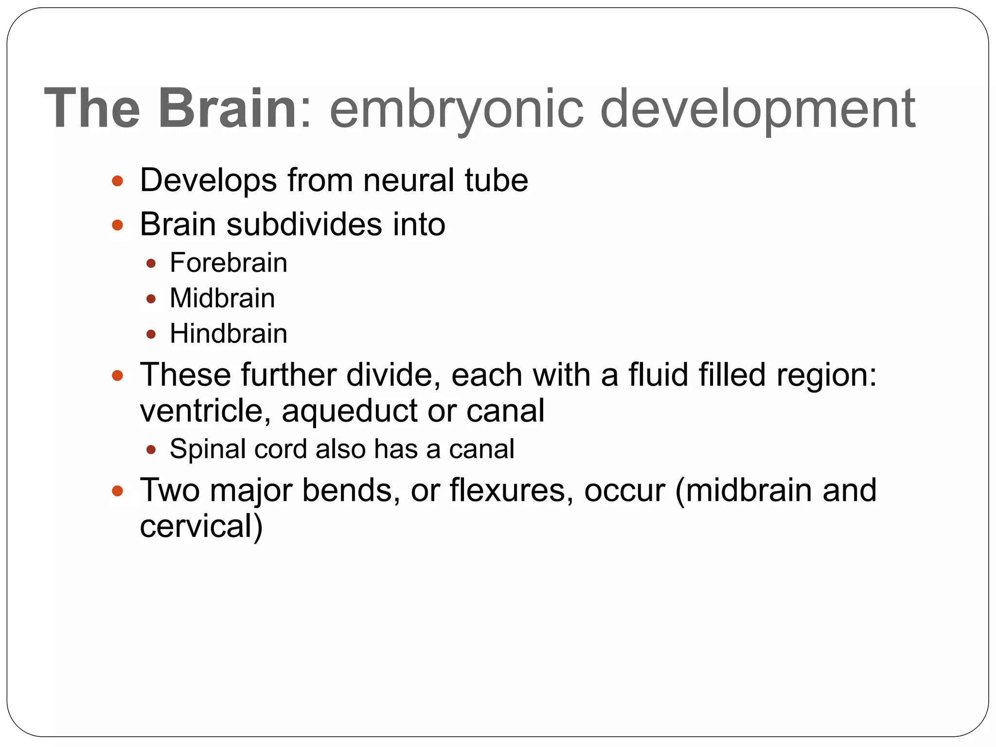 Anatomy and physiology of Central Nervous System | PPTX