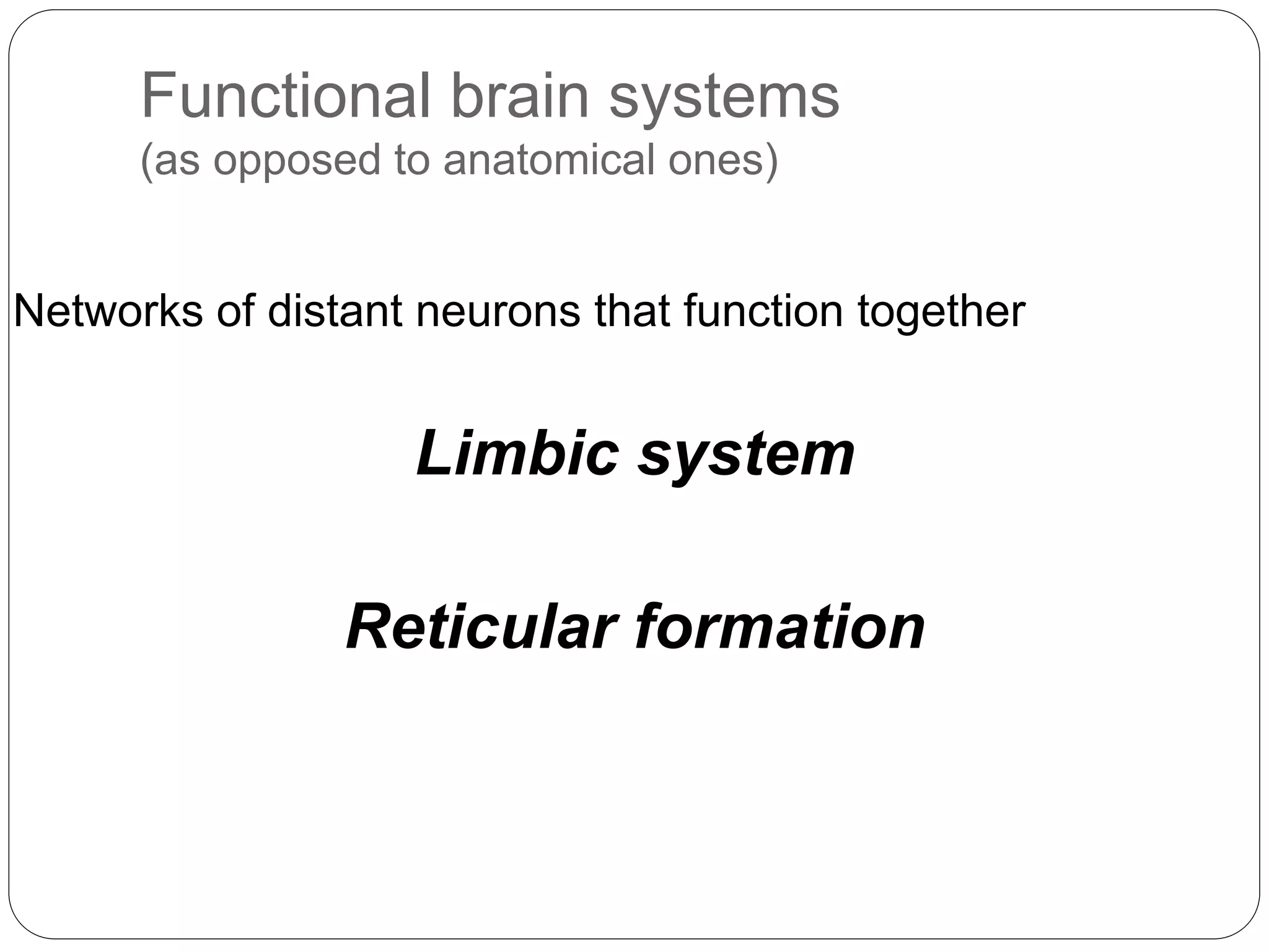 Anatomy and physiology of Central Nervous System | PPTX