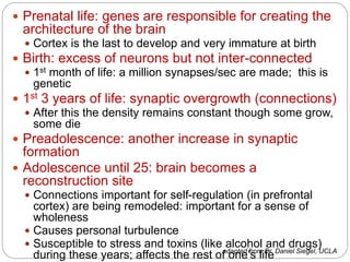 Anatomy and physiology of Central Nervous System | PPTX