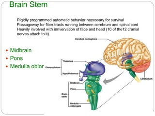 Anatomy and physiology of Central Nervous System | PPTX
