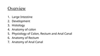 Anatomy and Physiology of Colon, Rectum and Anal Canal.pptx