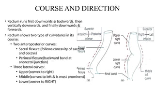 Anatomy and Physiology of Colon, Rectum and Anal Canal.pptx