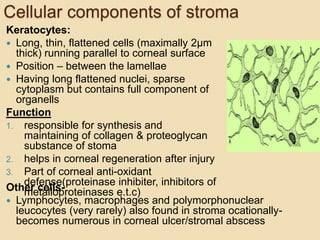 anatomyandphysiologyofcornea-150723093648-lva1-app6892.pdf