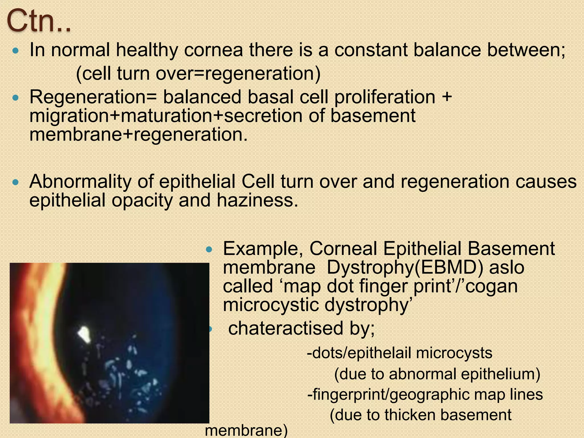 Anatomy and physiology of cornea | PPTX