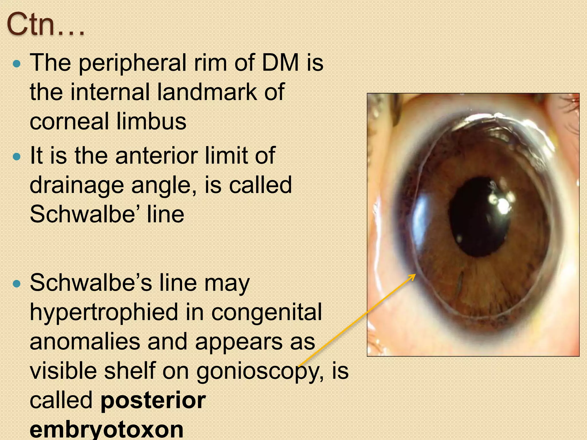 Anatomy and physiology of cornea | PPTX