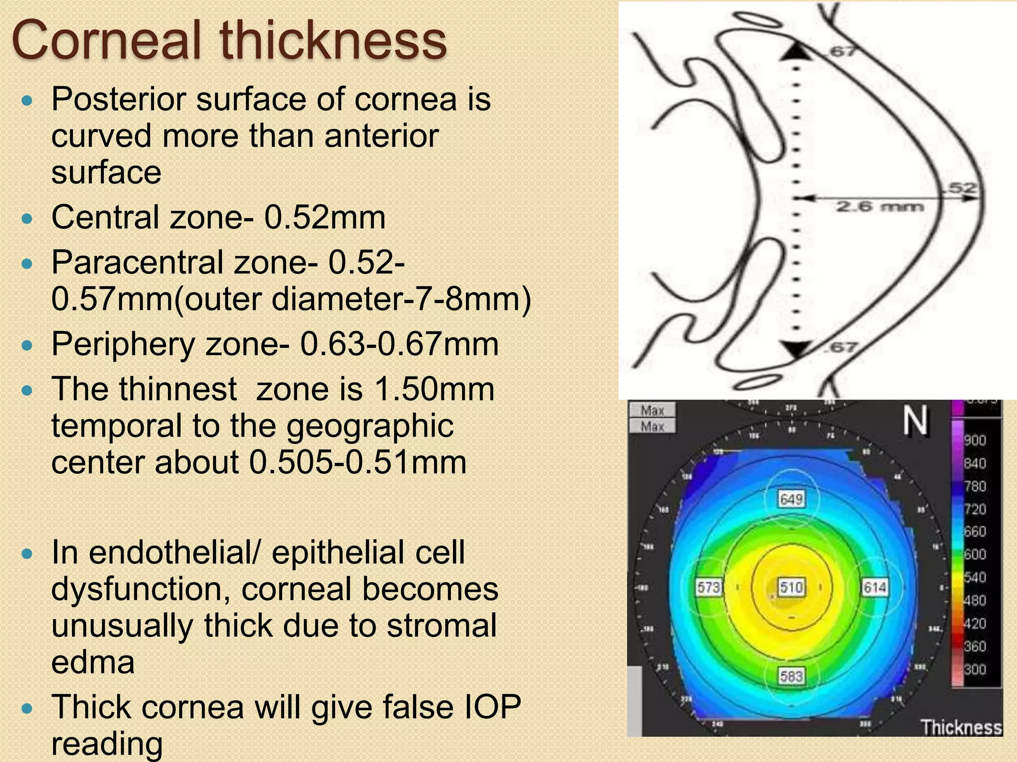 Anatomy and physiology of cornea | PPTX