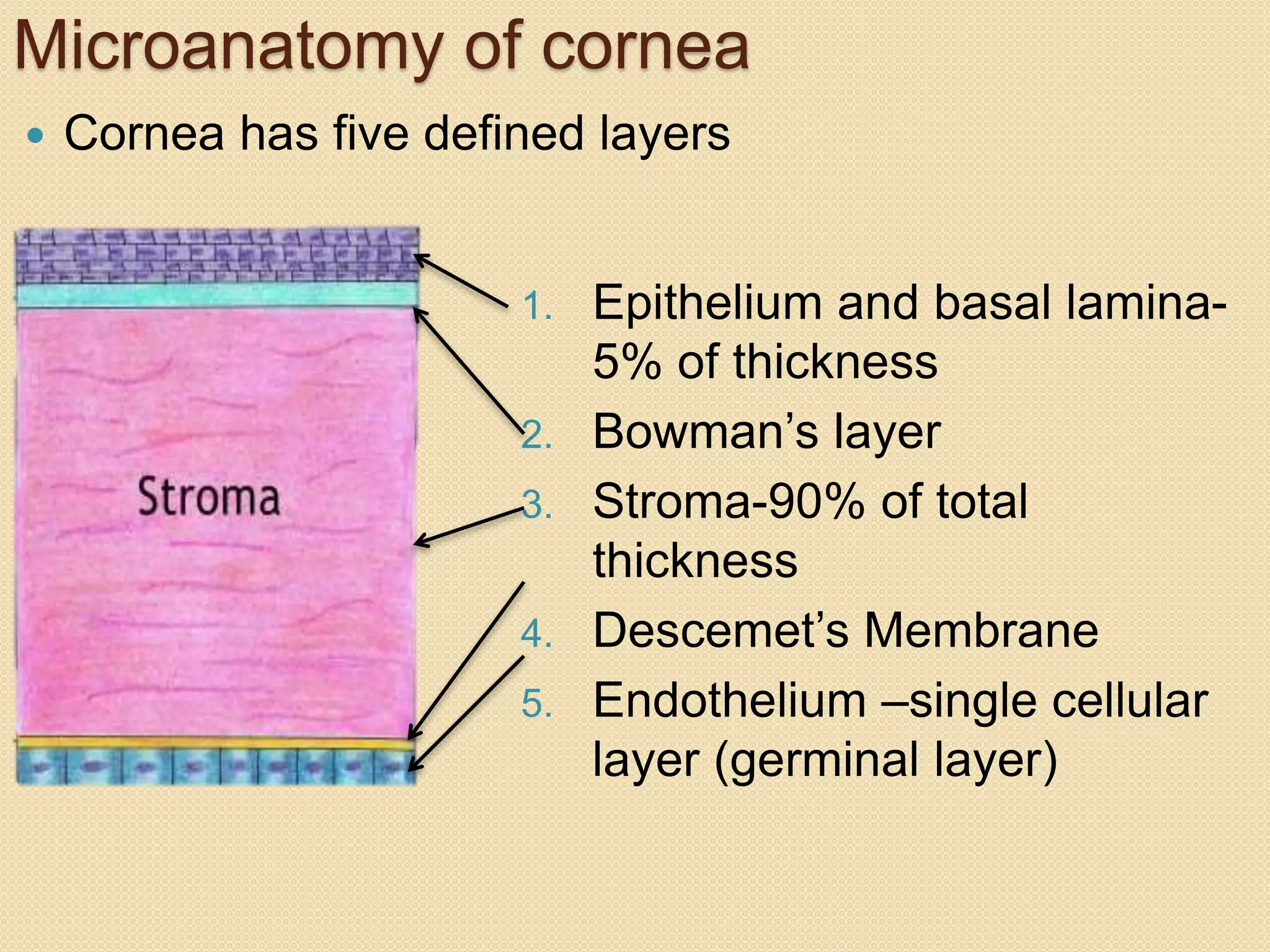 Anatomy and physiology of cornea | PPTX
