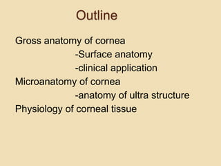Anatomy and physiology of cornea | PPTX
