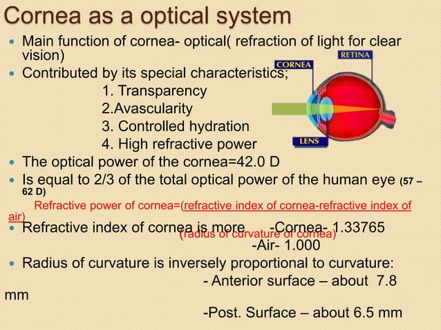 Anatomy and physiology of cornea | PPTX | Eye and Vision Conditions ...
