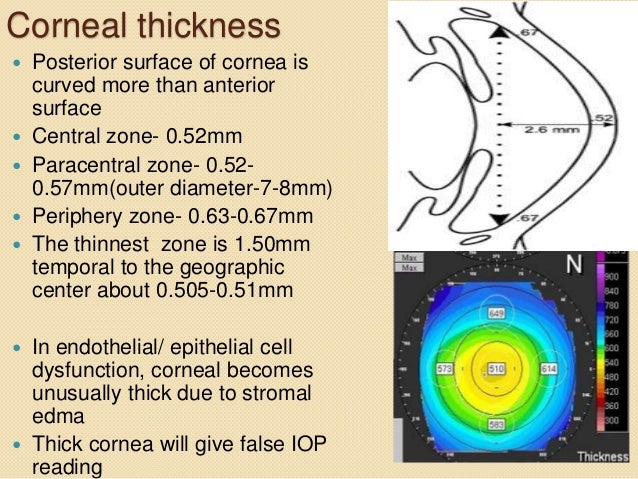 Anatomy and physiology of cornea