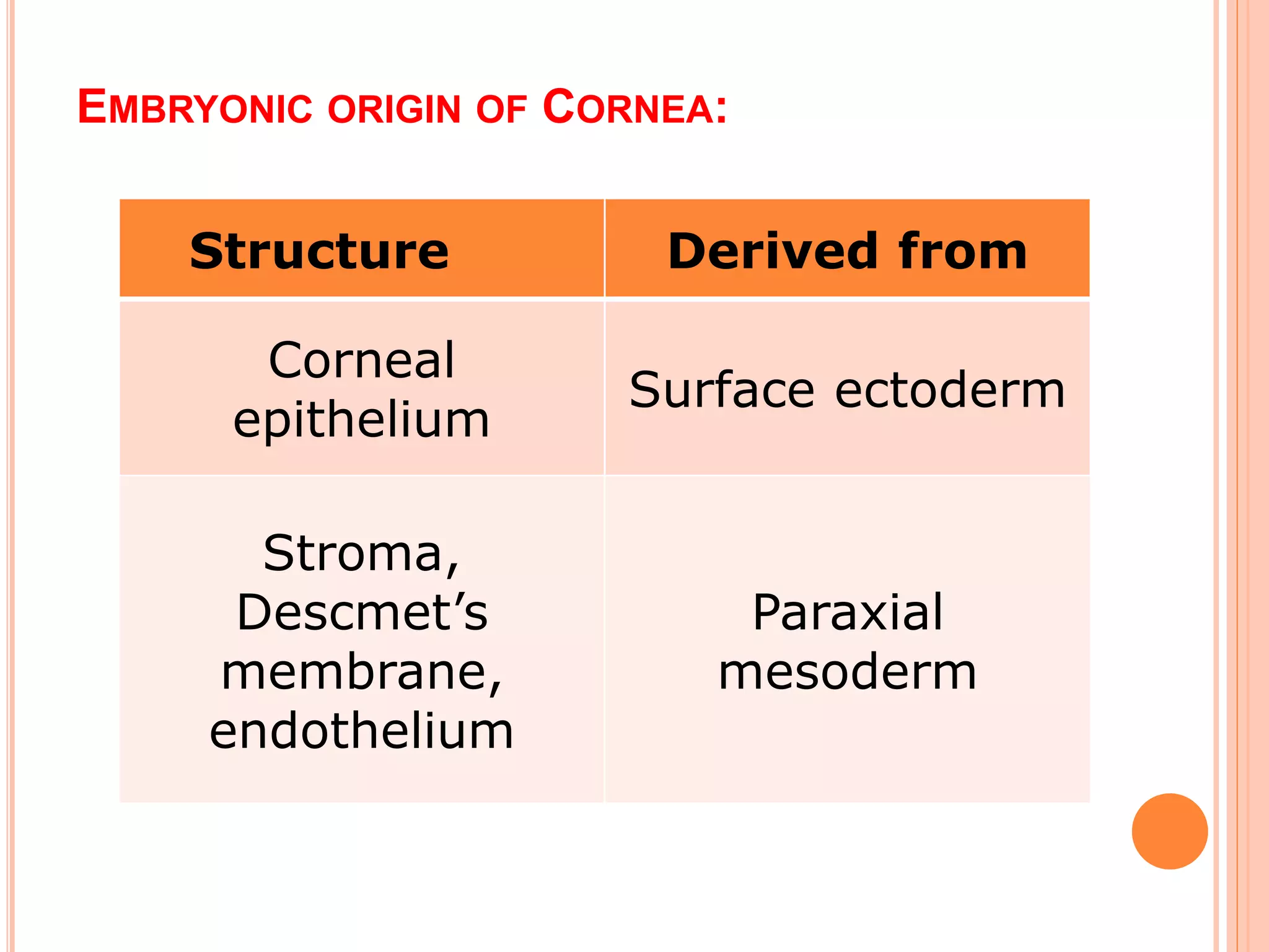 Anatomy and physiology of cornea | PPTX