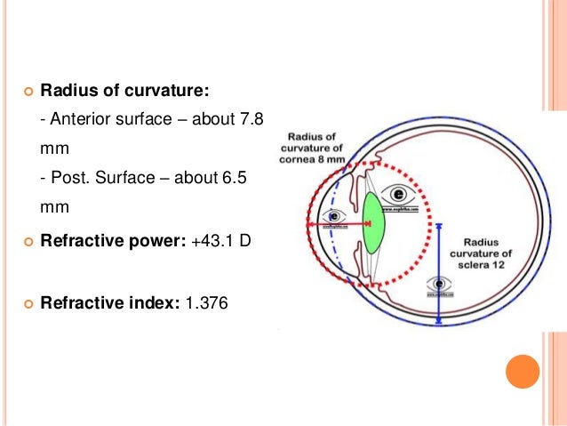 Anatomy and physiology of cornea