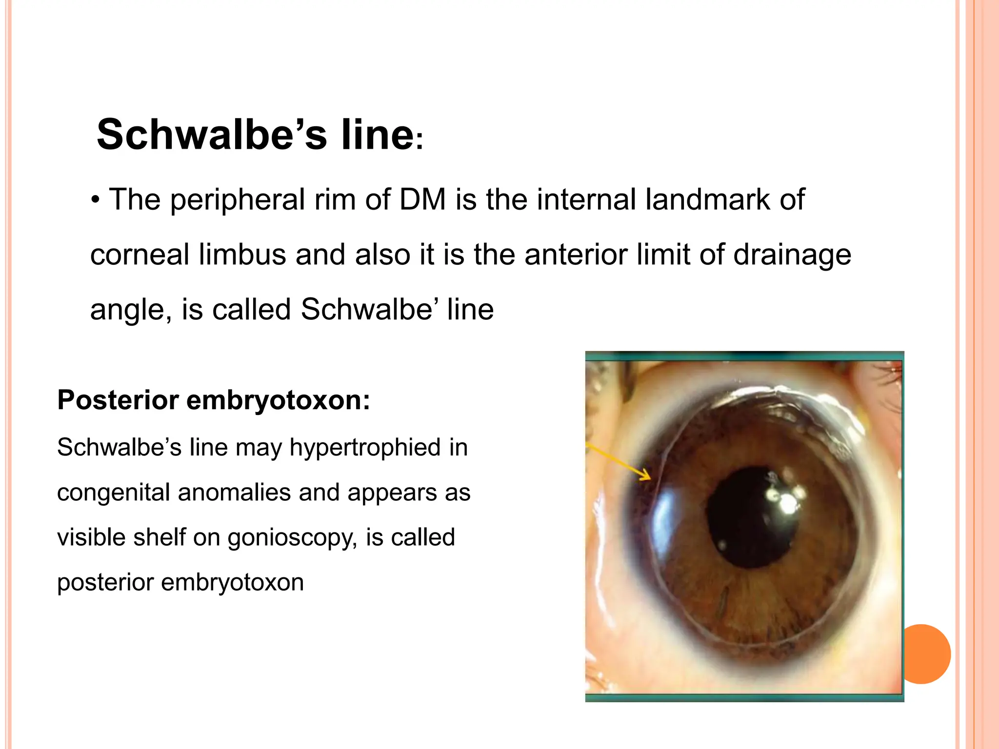 anatomy and physiology of cornea-.pdf gfhh | PDF