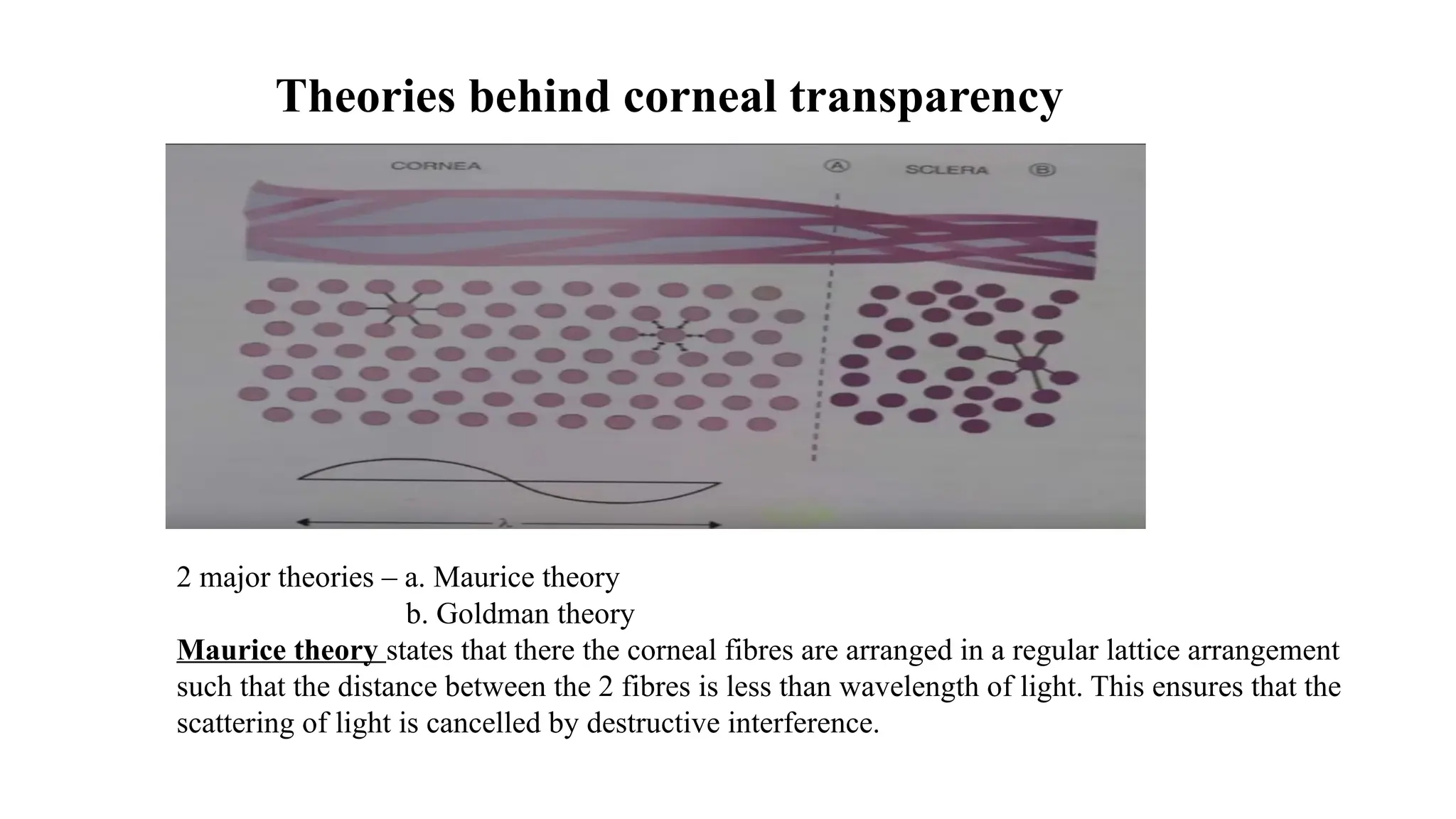 Anatomy and Physiology of Cornea powerpoint.pptx
