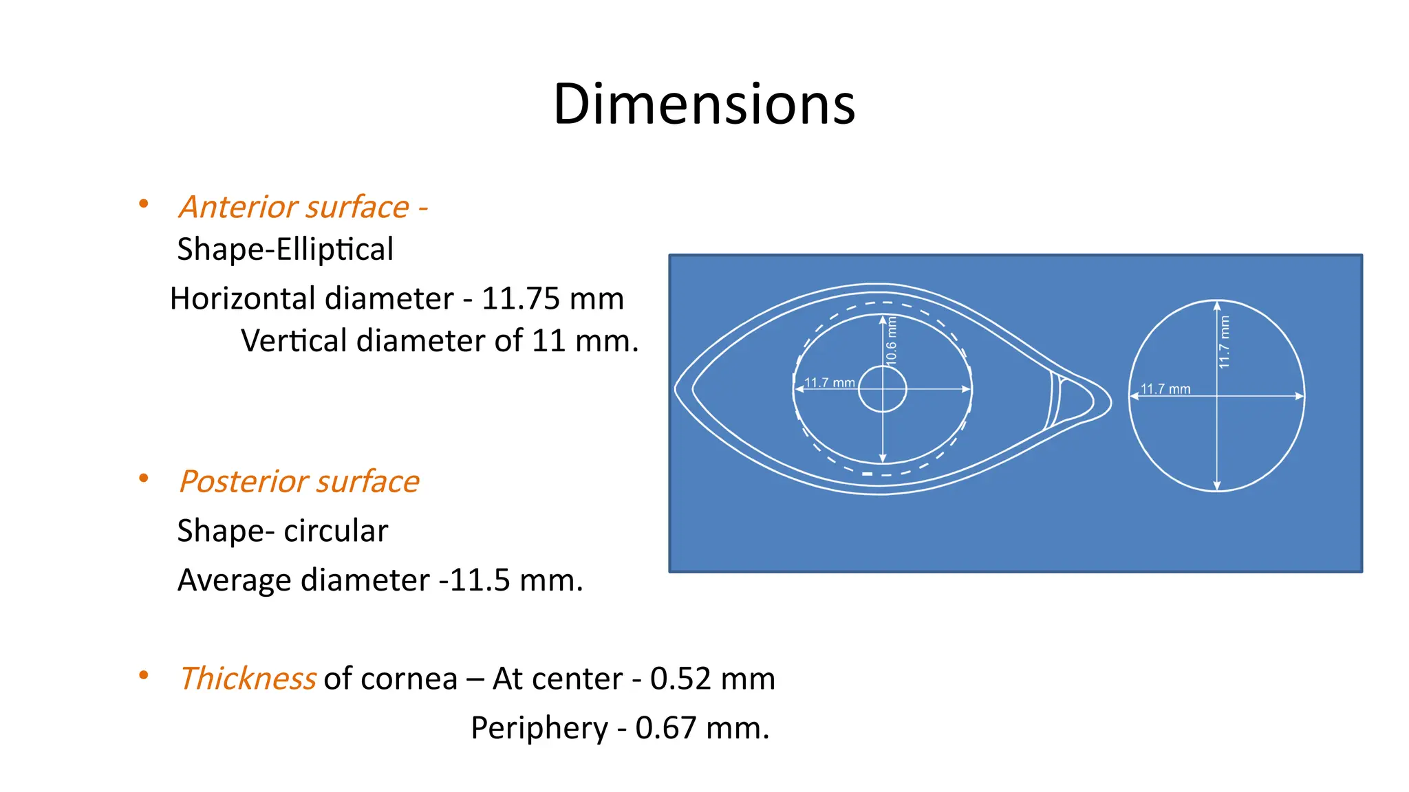anatomy and physiology of cornea 222.pptx