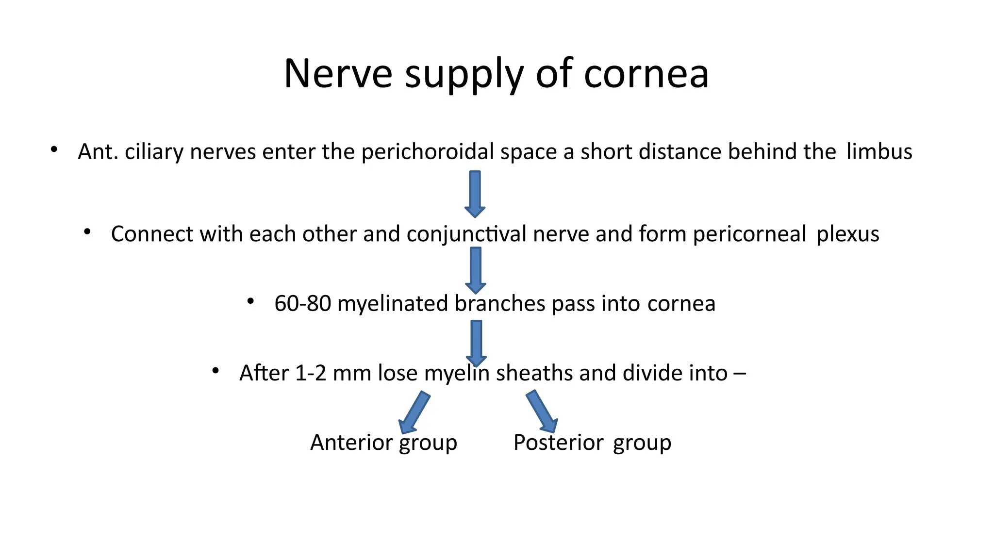 anatomy and physiology of cornea 222.pptx