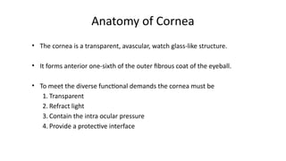 anatomy and physiology of cornea 222.pptx