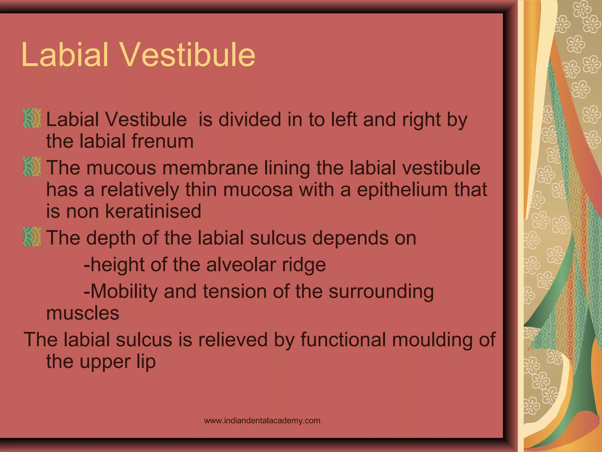 Anatomy and physiology of denture bearing areas /certified fixed ...