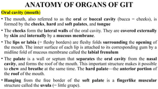ANATOMY AND PHYSIOLOGY OF DIGESTIVE SYST | PPTX