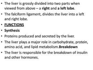 Anatomyandphysiologyofdigestivesystem | PPTX