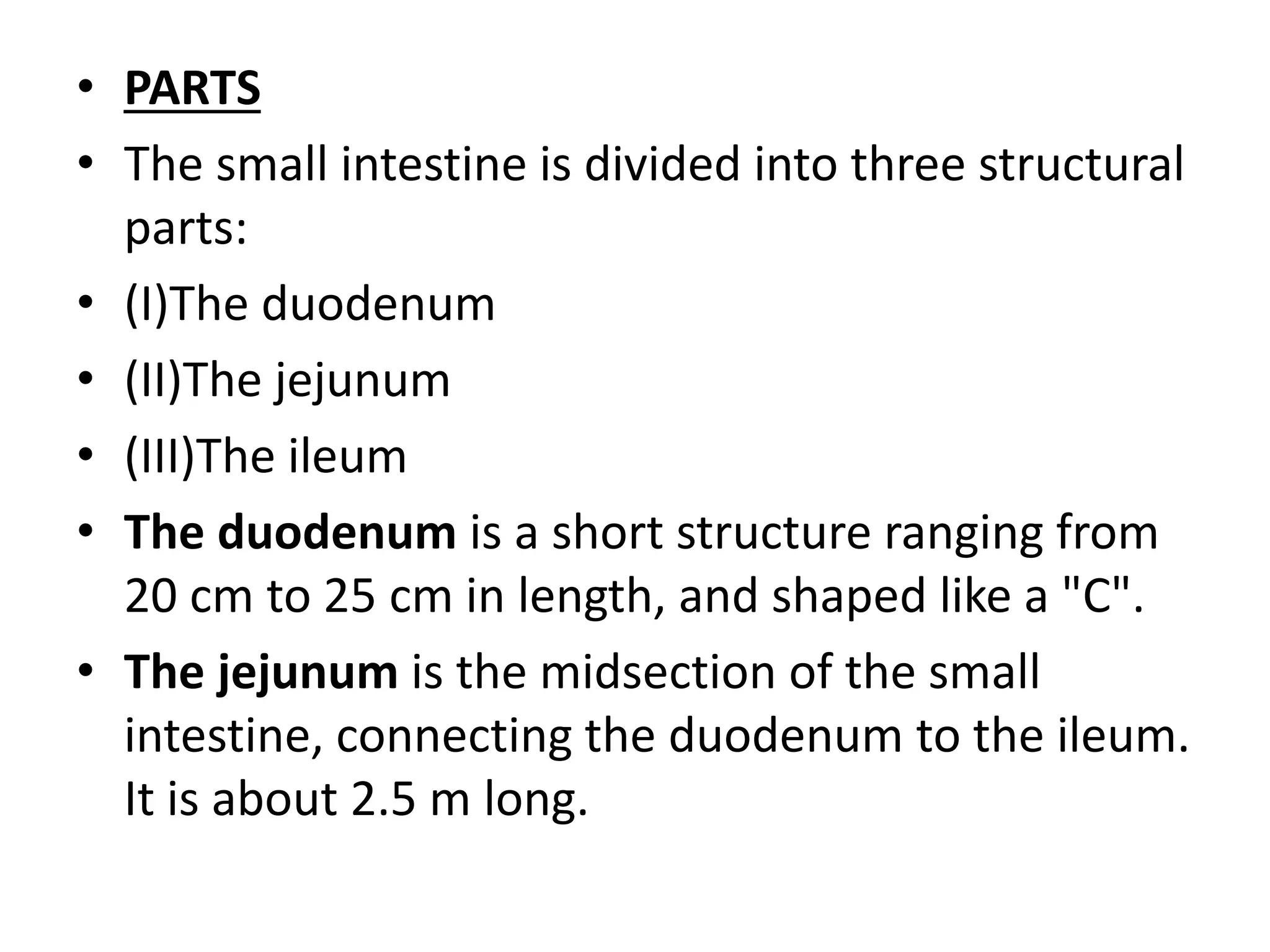 Anatomy and physiology of the digestive system | PPTX
