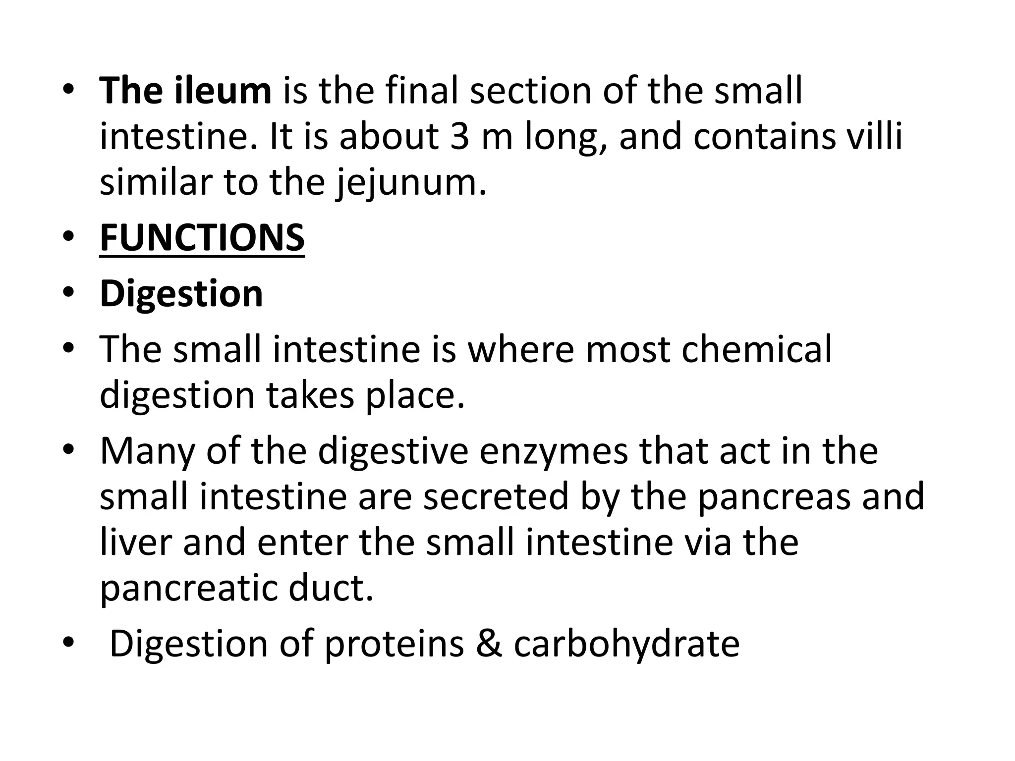 Anatomy and physiology of the digestive system | PPTX