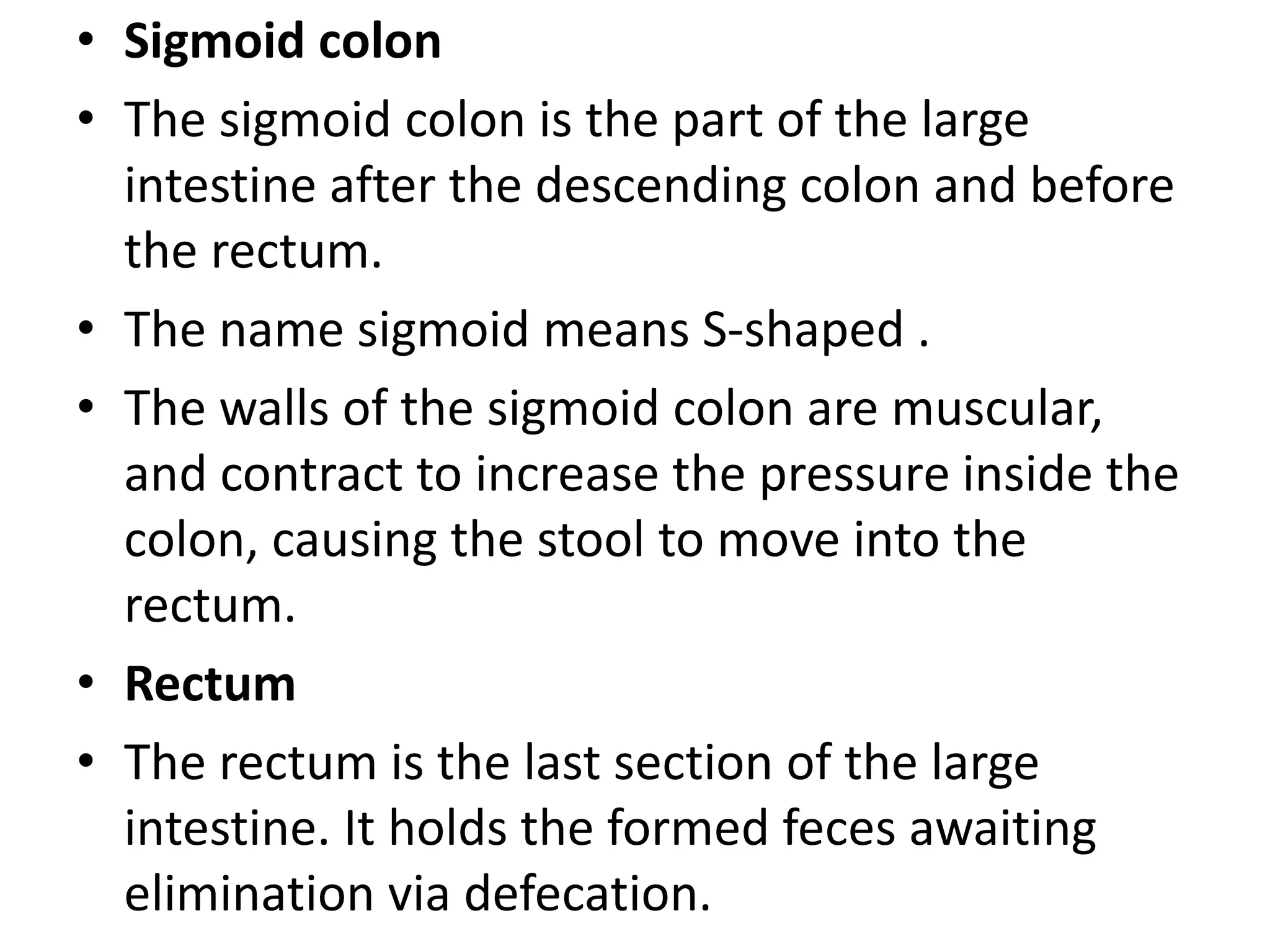 Anatomy and physiology of the digestive system | PPTX