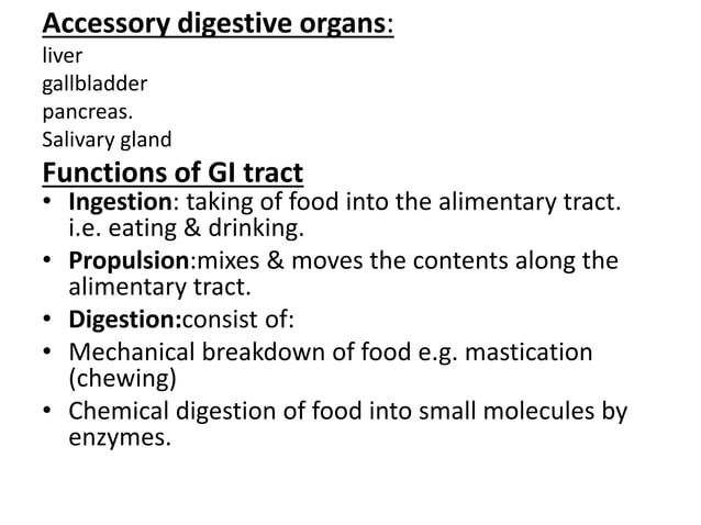 Anatomy and physiology of the digestive system | PPTX | Dental Health ...